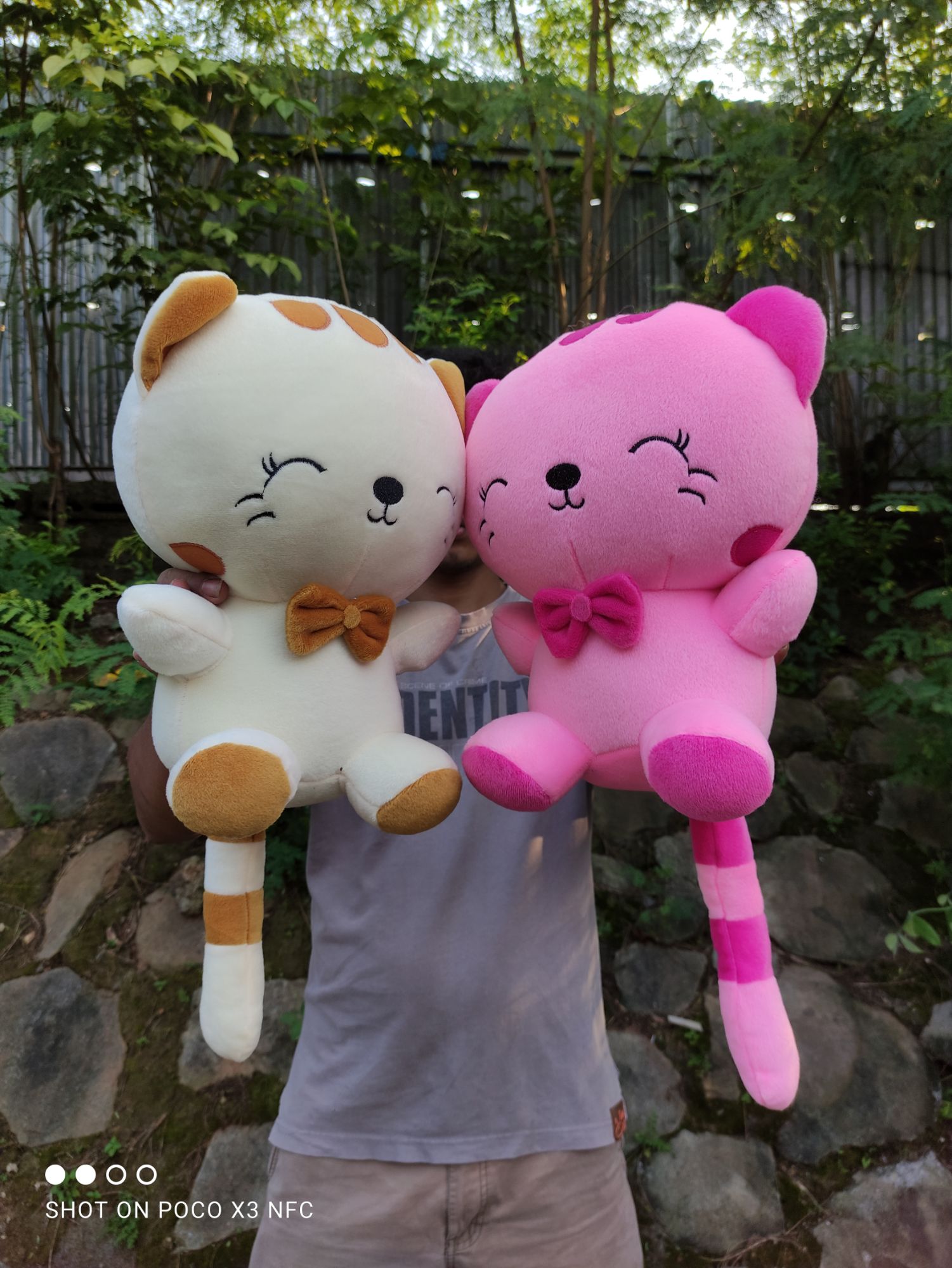 Jual Bonenka Siluman Kucing Terbaru - May 2024 | Lazada.co.id