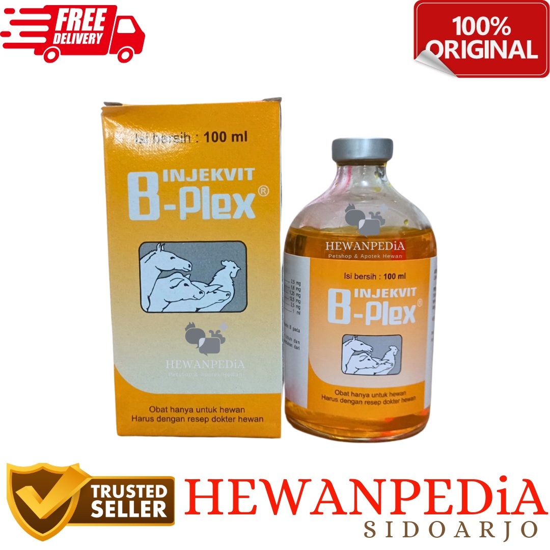 Jual Vit B Complex Injeksi Untuk Burung Terbaru - Oct 2024 | Lazada.co.id