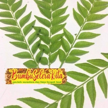 Jual Daun Kari Temurui Terbaru - Oct 2024 | Lazada.co.id