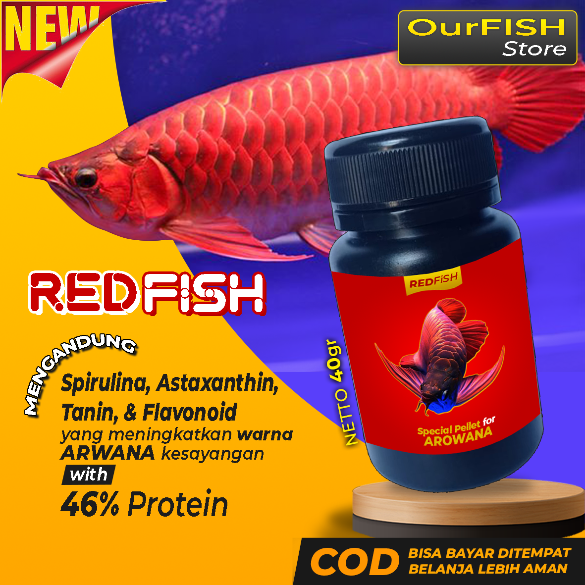 Ikan Arwana Golden Red Ikan Arowana Besar Super Red Pets For Sale In
