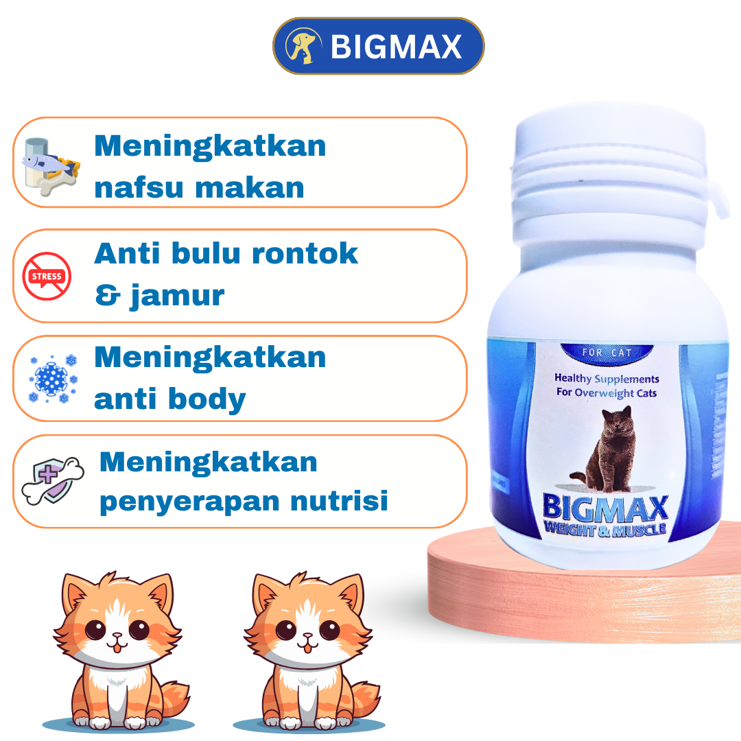 Jual Excimer Kuning Pil Anjing Terbaru - Jan 2025 | Lazada.co.id