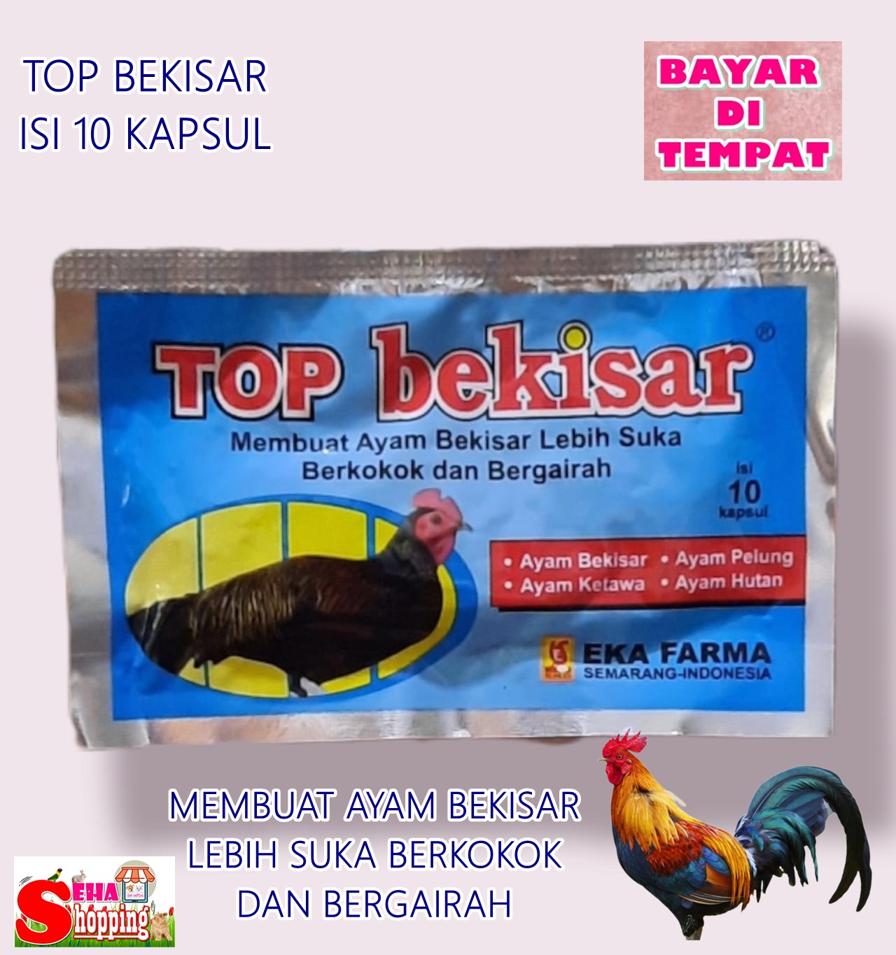 Ayam Bekisar