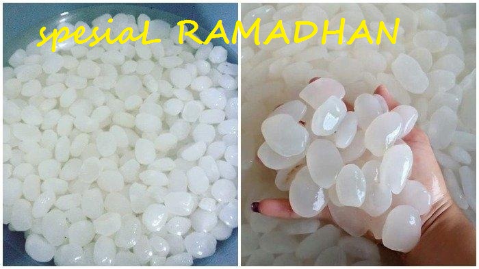 Jual Tembakau Rokok Daun Talas Terbaru - Jun 2024 | Lazada.co.id