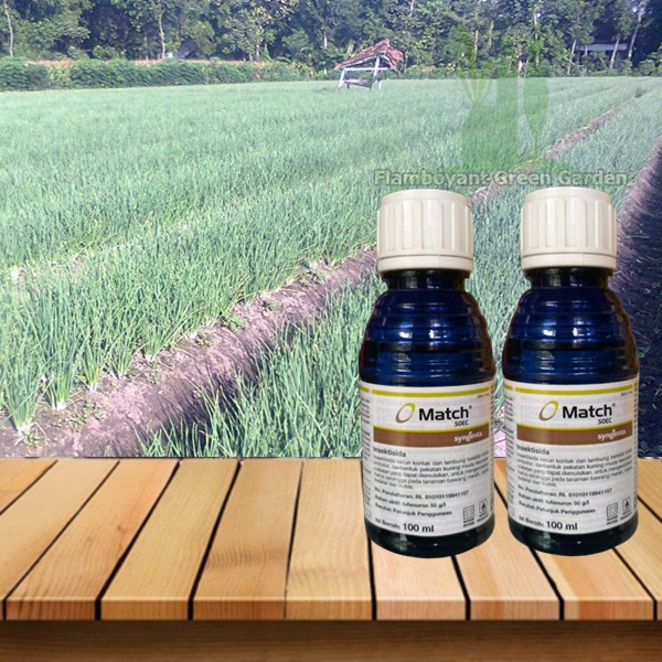 Promo Insektisida 100ml MATCH 50EC Obat Pertanian Pembasmi Ulat Daun di ...