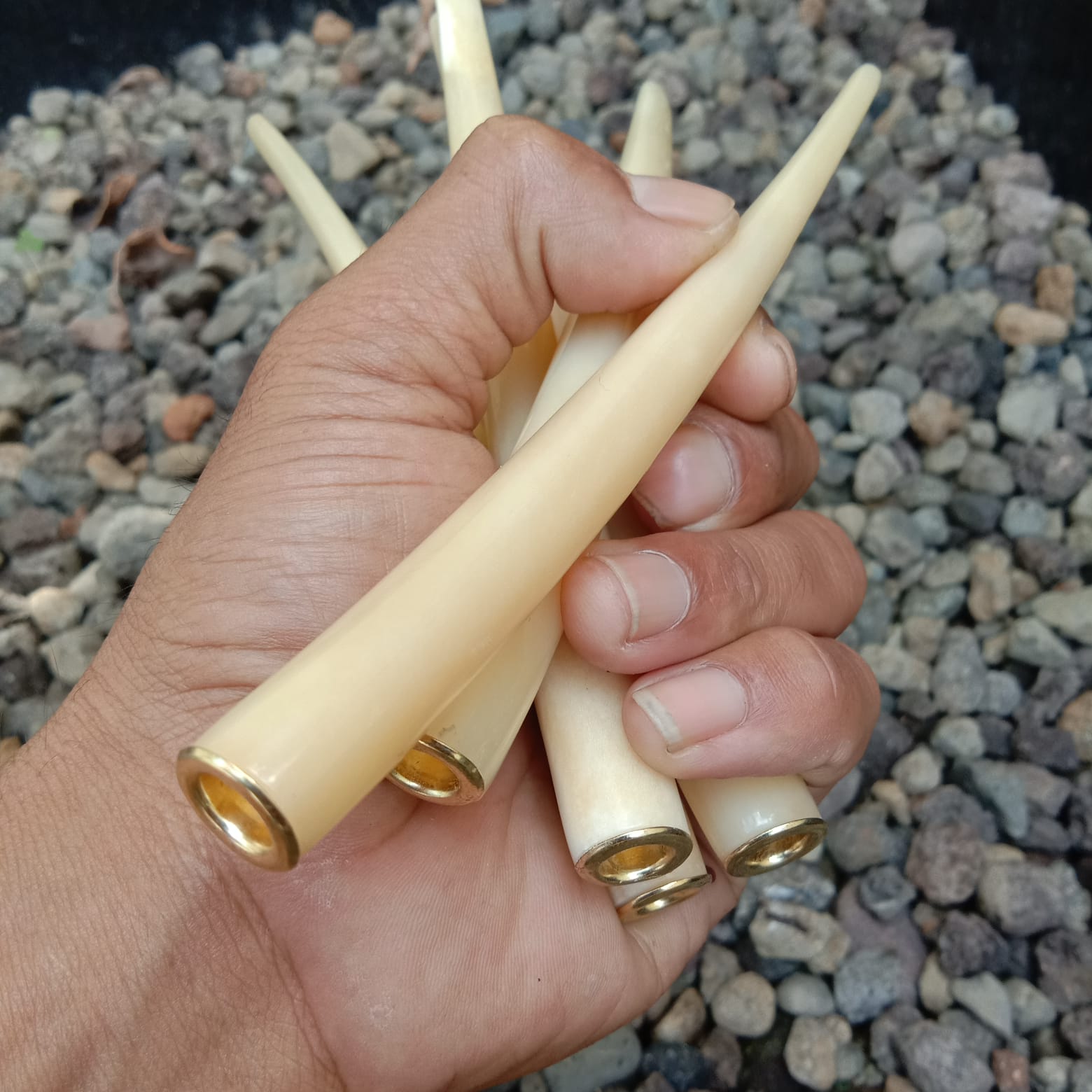 Jual Pipa Rokok Tulang Impormoncong Marlin Terbaru - Nov 2024 | Lazada ...