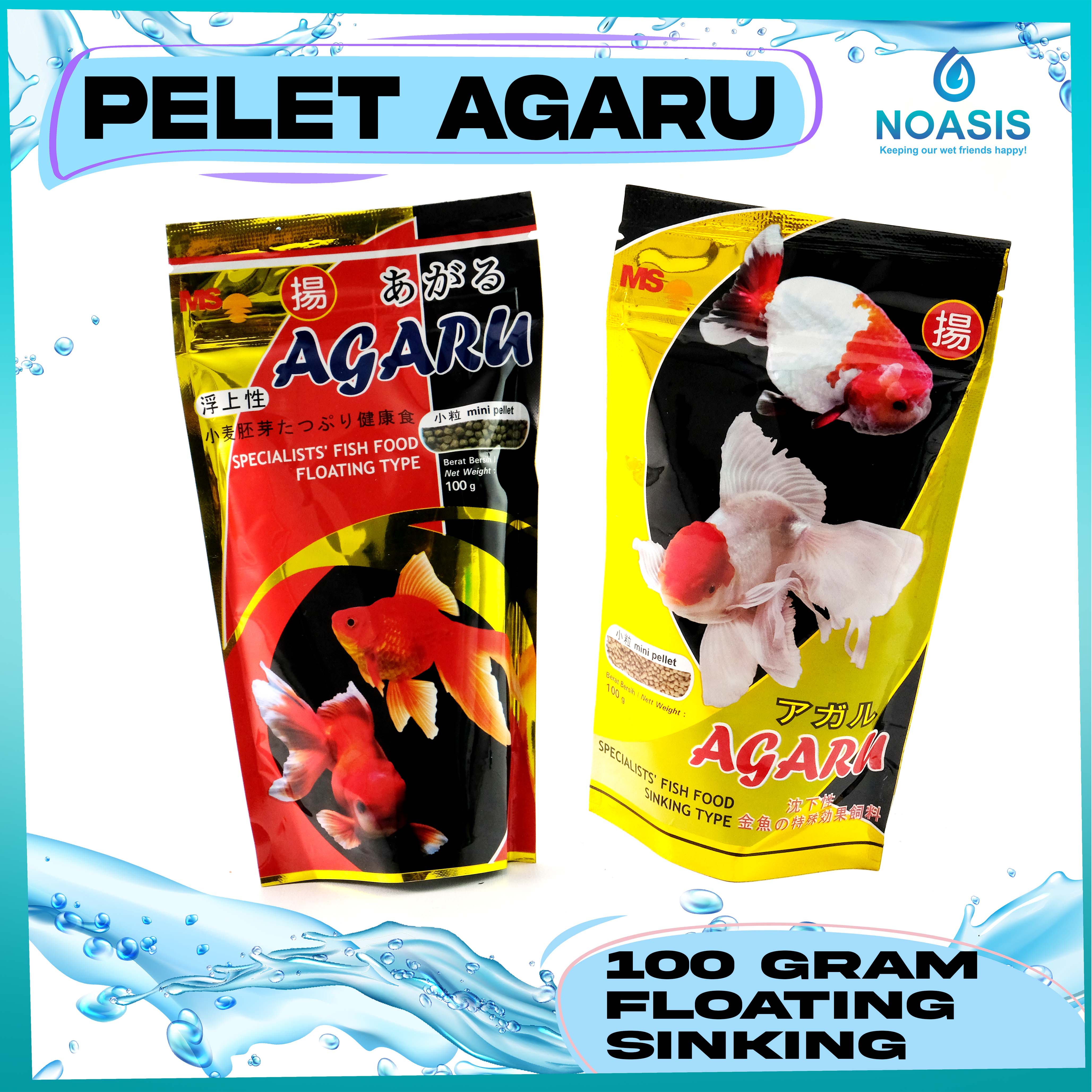 Jual Ikan Mas Koki Mata Belok Terbaru - Jul 2024 | Lazada.co.id