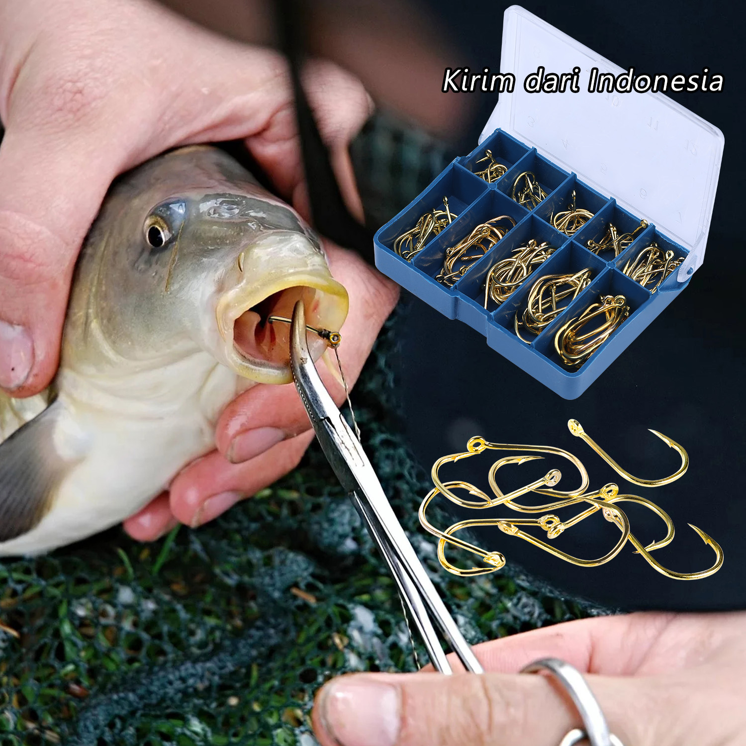 Jual Ukuran Pancing Ikan Mas Terbaru - Aug 2024 | Lazada.co.id