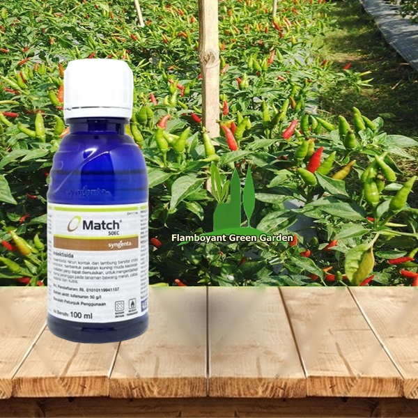 Promo Insektisida 100ml MATCH 50EC Obat Pertanian Pembasmi Ulat Daun di ...