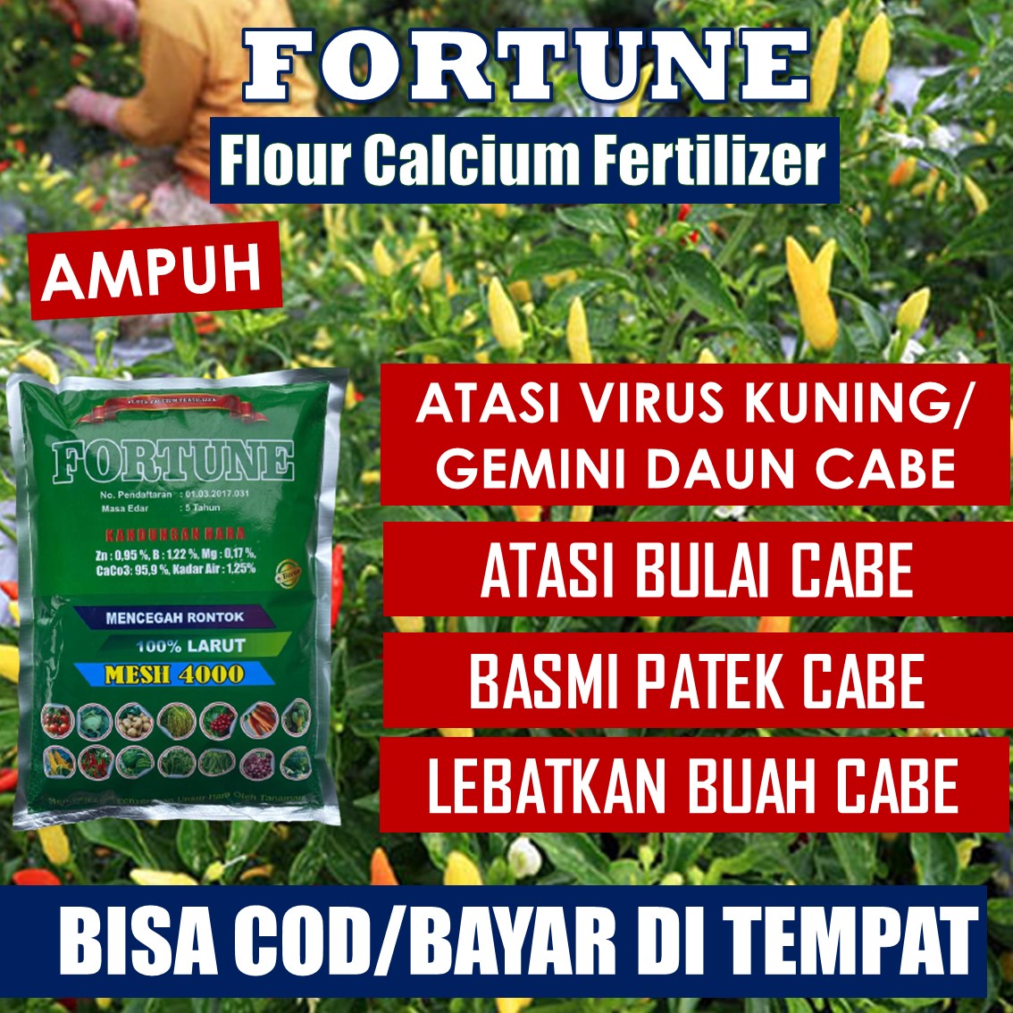 obat lambun ulu ati - Membeli obat lambun ulu ati Harga Terbaik di ...