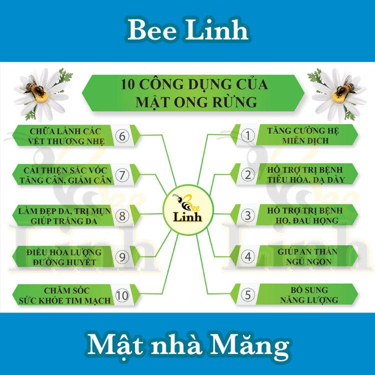 Mật ông nguyên chất, mat ong rung nguyên chất Bee Linh - Mật ong và ...