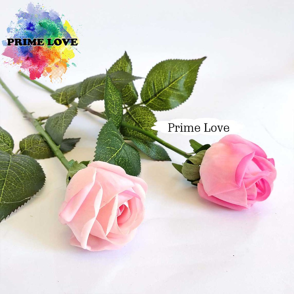 Setangkai Bunga Mawar Pink