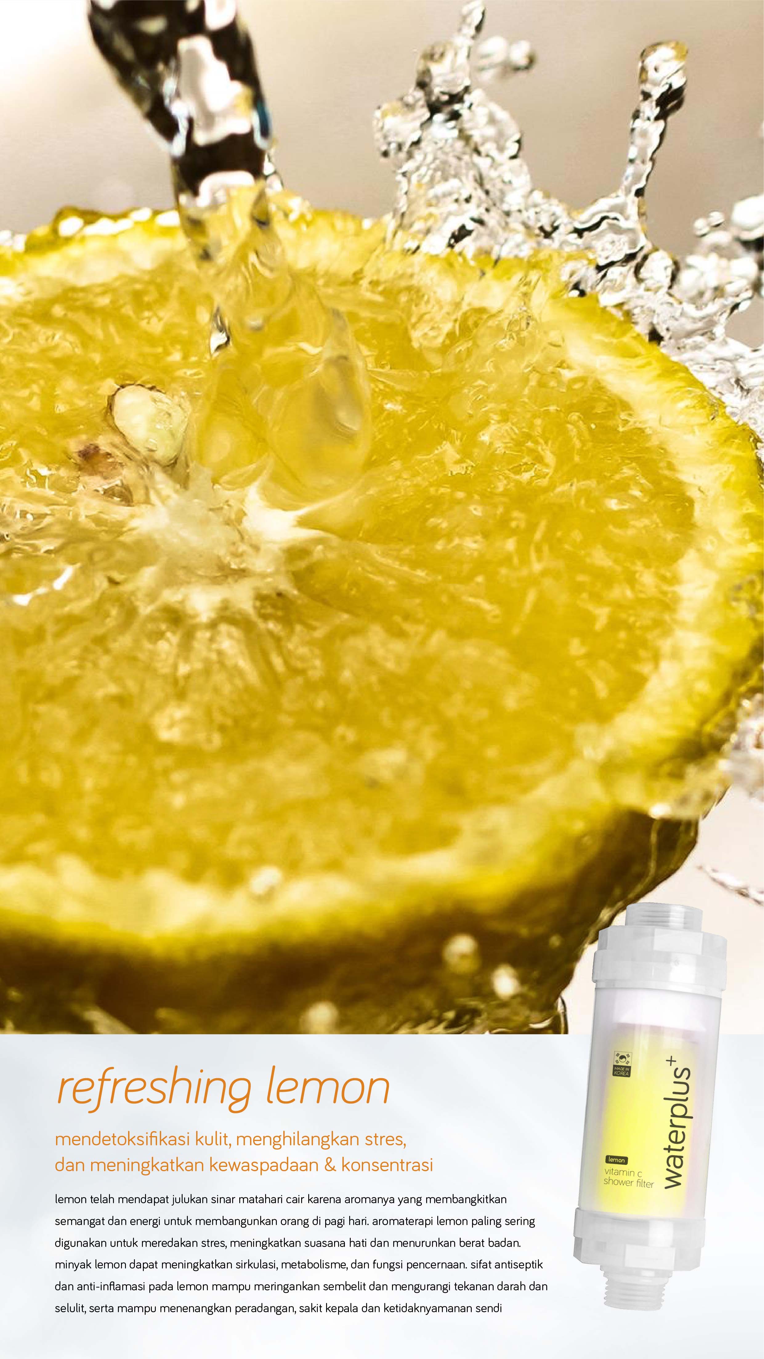 Jual Waterplus+ Lemon VCF-111-LM Vitamin C Shower Filter - Lemon ...