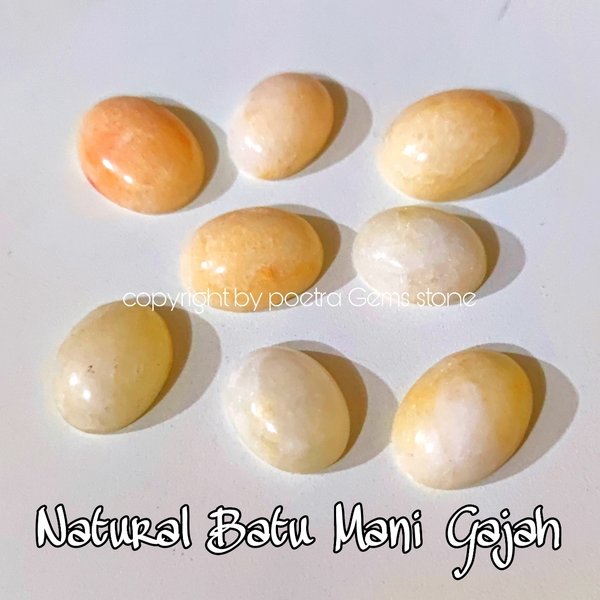 Jual Mani Gajah Asli Original Terbaru - Nov 2024 | Lazada.co.id