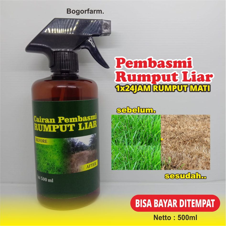 Jual Racun Rumput Yang Paling Ampuh Sampai Akar Terbaru - May 2024 ...