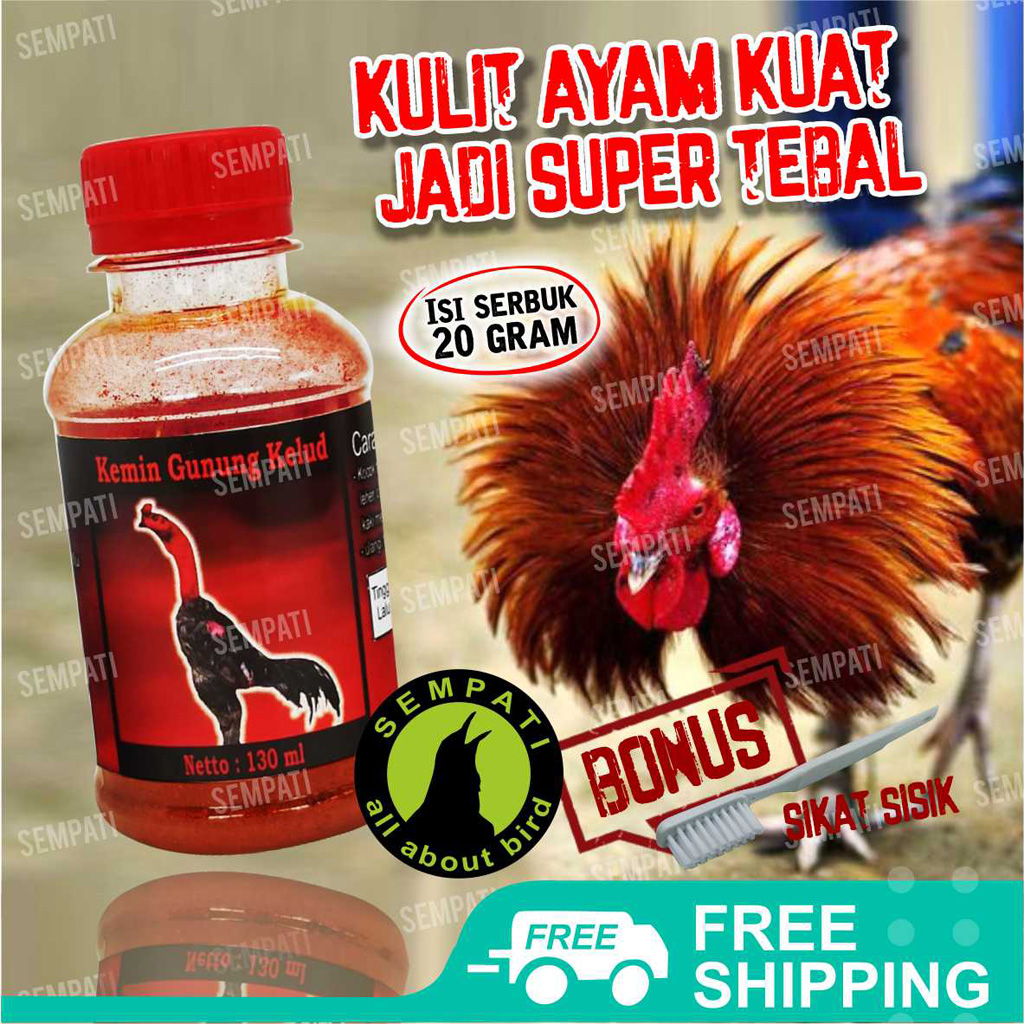 kemling buat di oles kaki ayam - Membeli kemling buat di oles kaki ayam ...