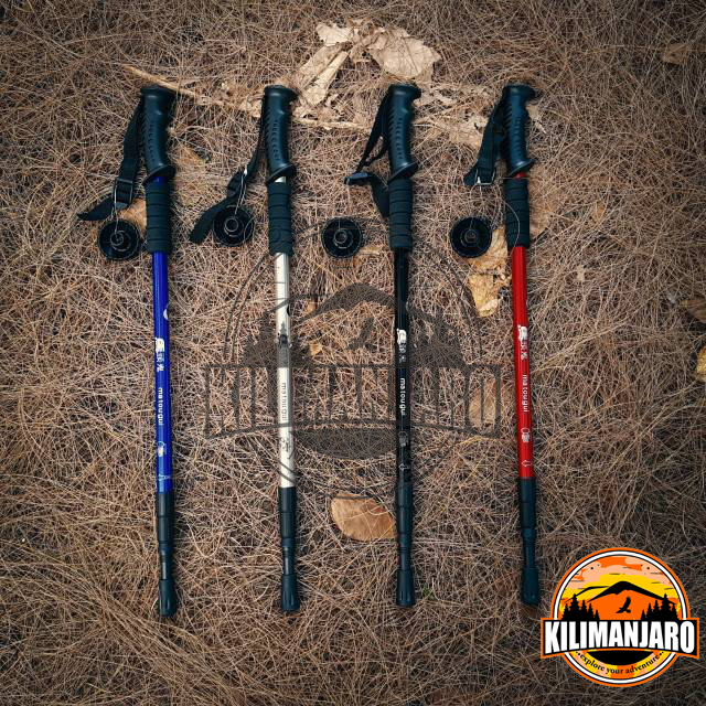 Jual Besi Dragon R2 Untuk Atraksi Terbaru - Jul 2024 | Lazada.co.id