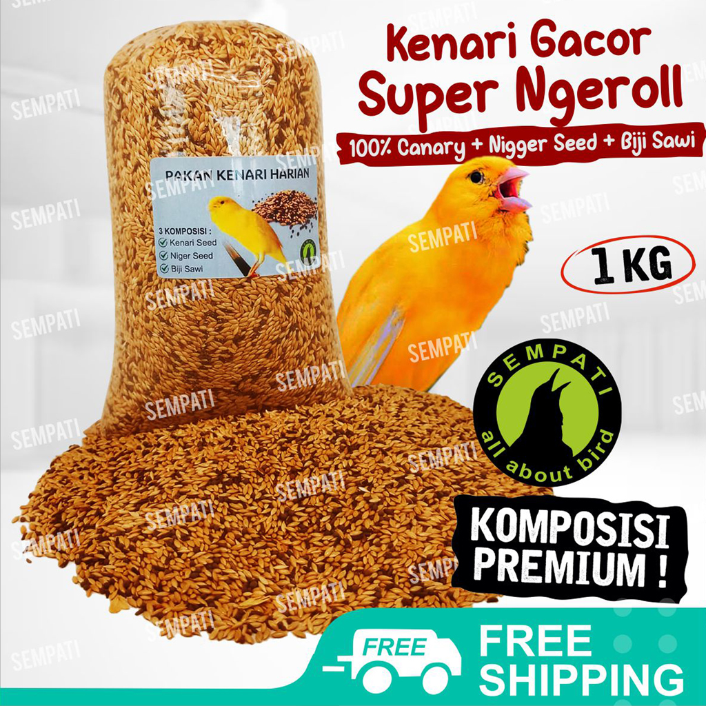 Jual Pakan Buat Kenari Merlok Biar Warna Nya Pekat Terbaru - Sep 2024 ...