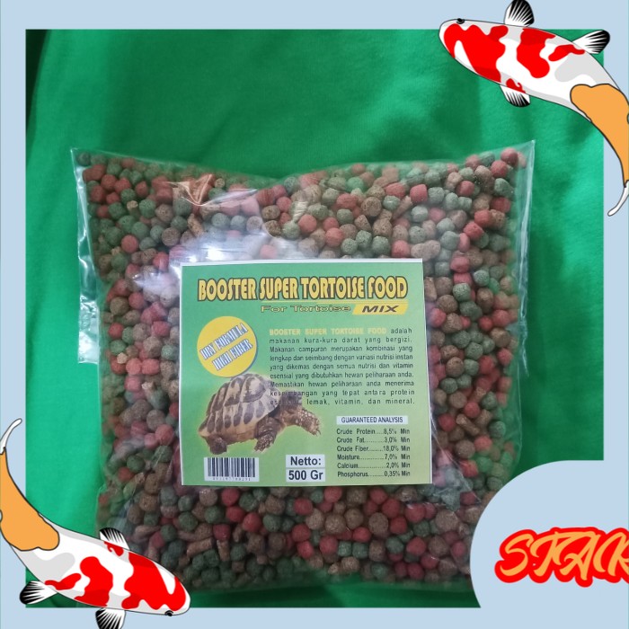 Jual Harga Kura Kura Sulcata Besar Terbaru - Oct 2024 | Lazada.co.id